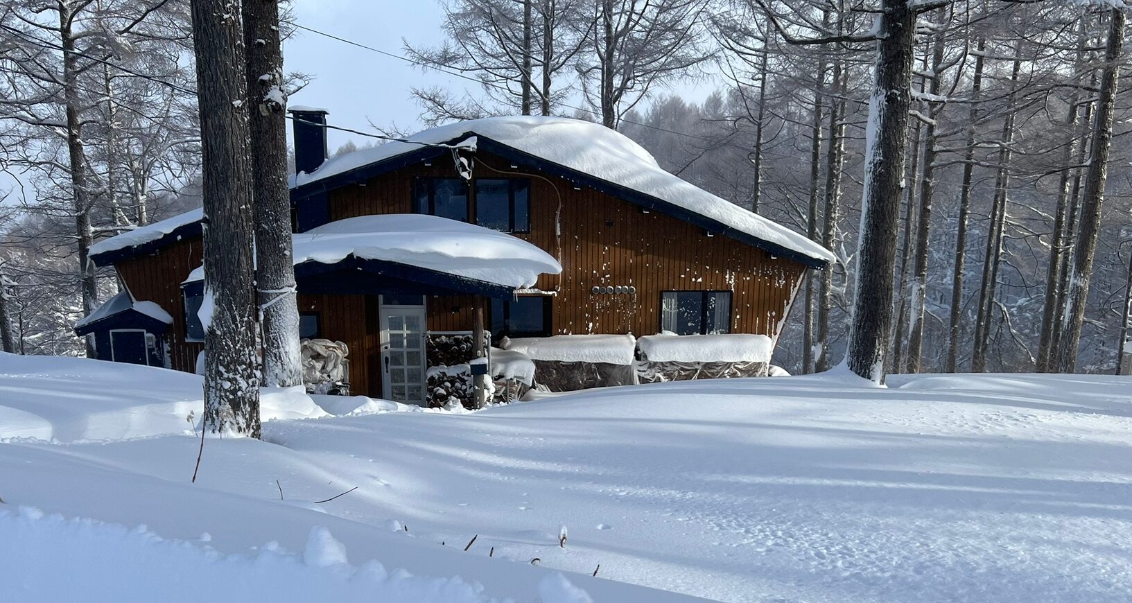 Stay With Us - Japan Snowsports