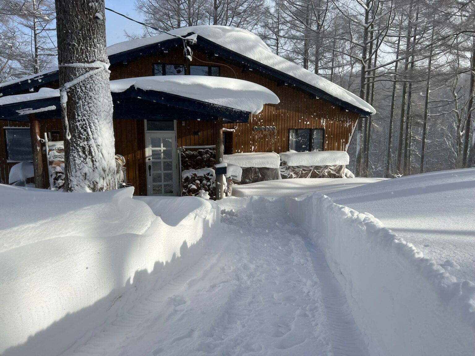 Stay With Us - Japan Snowsports